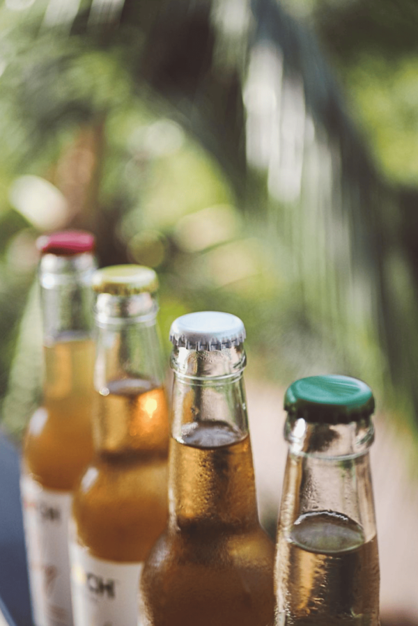 Kombucha-101: Your Comprehensive Guide - Booch
